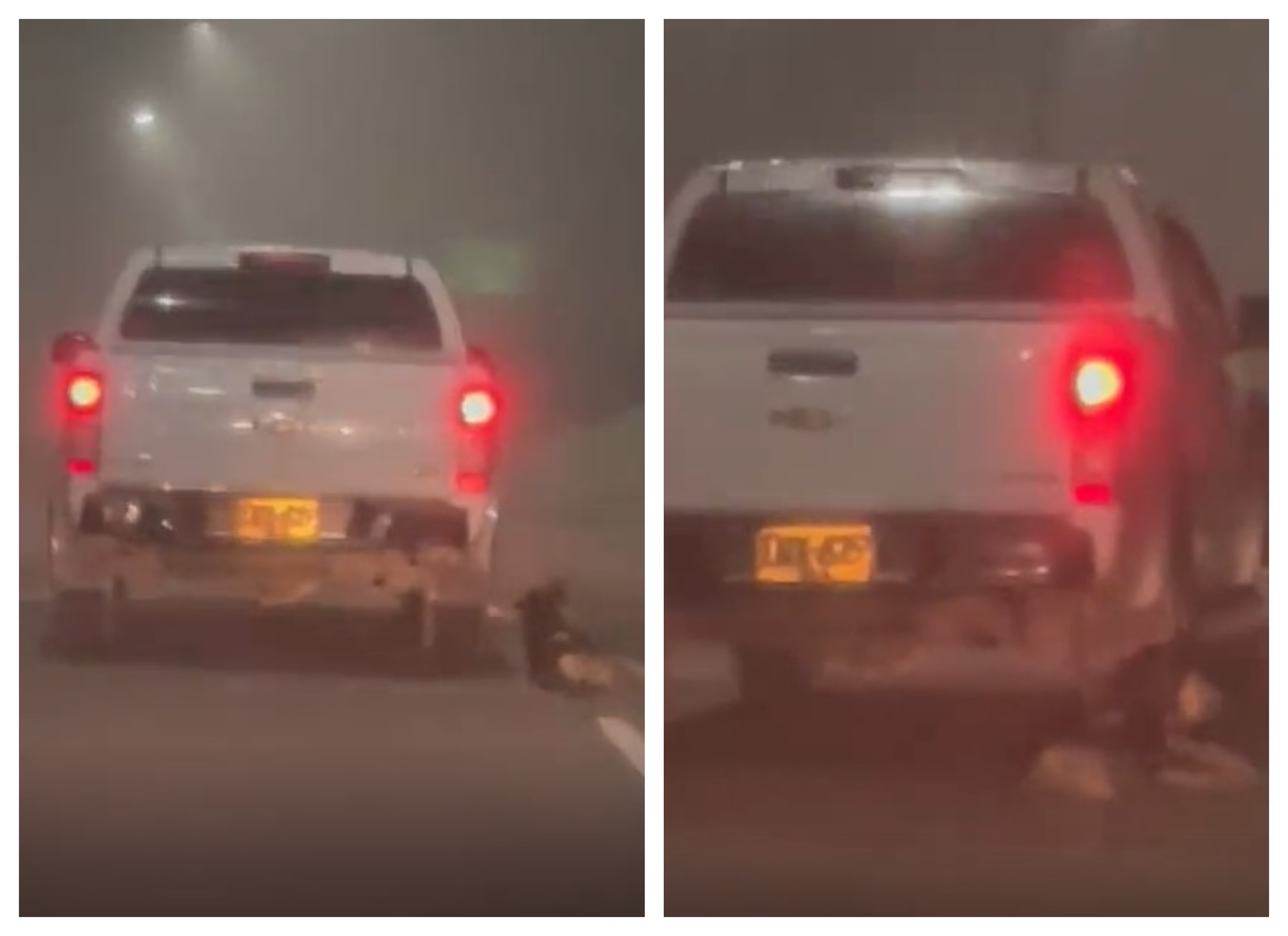 ¡Insólito!: perrito es arrastrado por una camioneta a casi 100 km por ...
