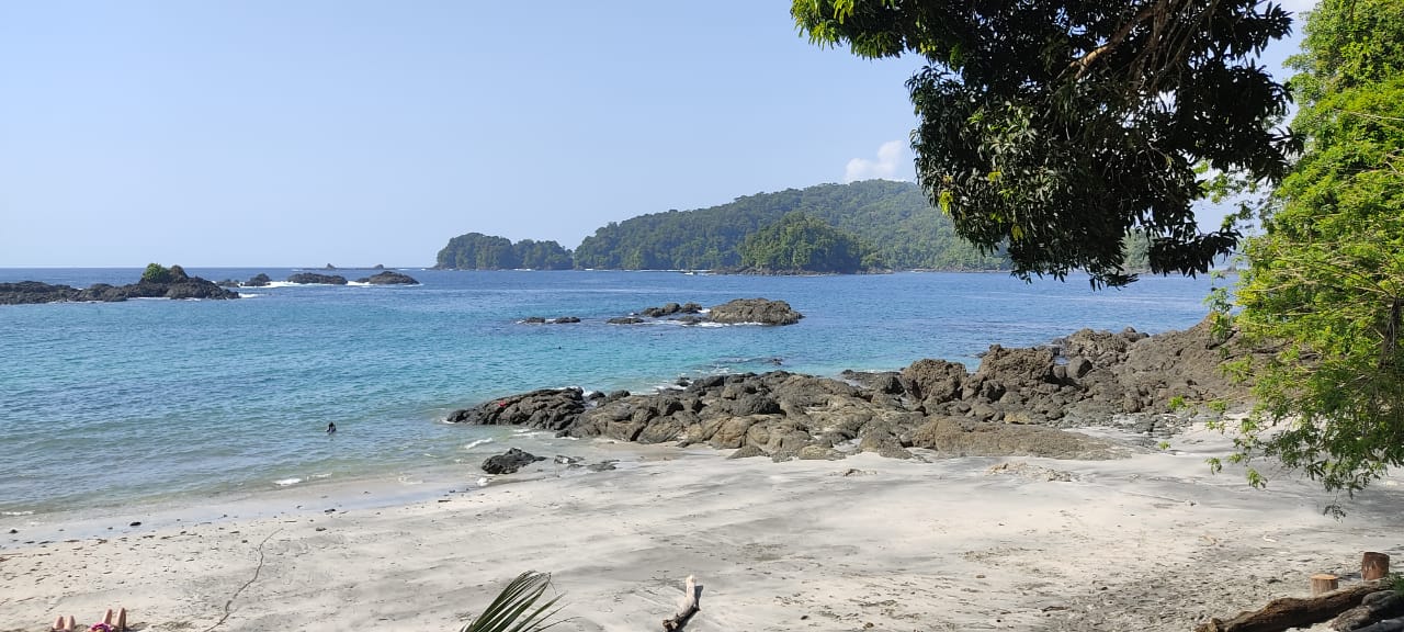 Parque Nacional Natural Utría fue tomado por la fuerza por comunidad de ...