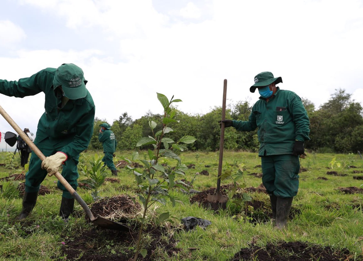 Controversia en Bogotá: reserva Thomas van der Hammen pierde 20 hectáreas