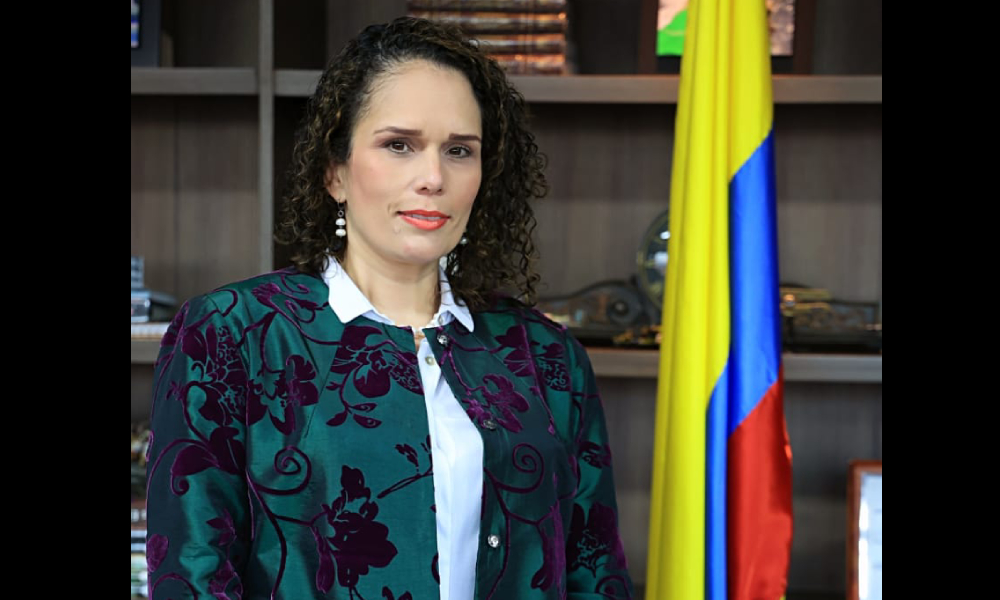 ¿Quién es María Constanza García, nueva ministra de Transporte?