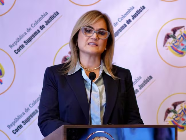 El presidente de la Corte Suprema se opone a la suspensión de la ...