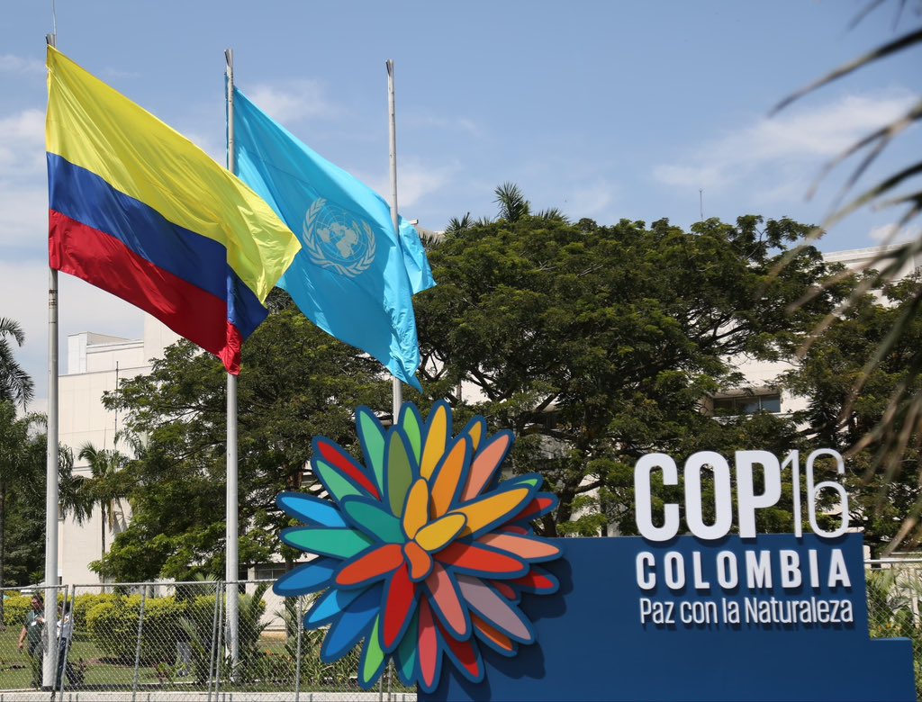 Disidencias de las Farc desmienten planes de ataque durante la COP16