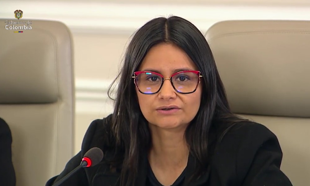 Consejo de Ministros: directora del Dapre anuncia que Reforma a la ...