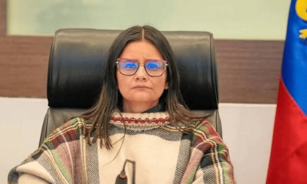 Angie Rodríguez fue ratificada por Gustavo Petro como directora del Dapre tras denuncia por ...