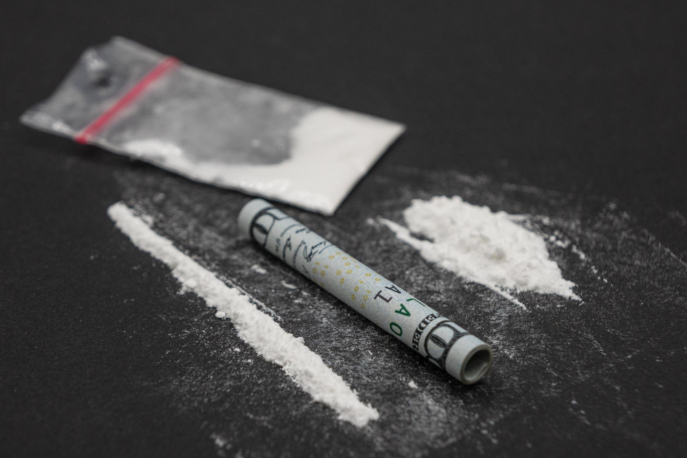 Informe anual de la JIFE: expansión del mercado mundial de cocaína pone ...