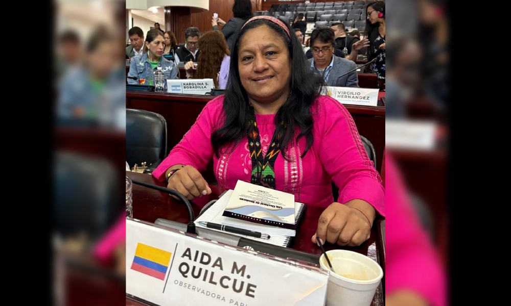 Senadora Aida Quilcué habría sido secuestrada en Cauca